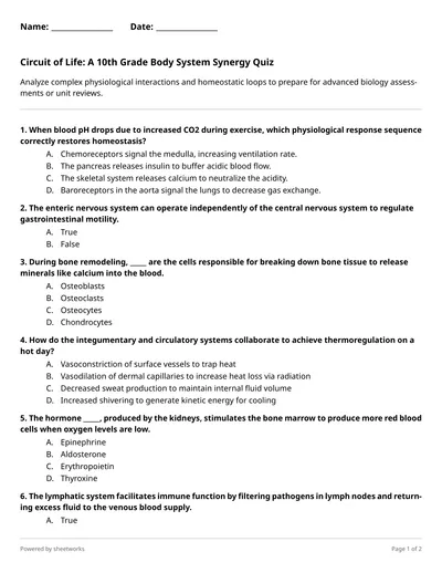 Circuit of Life: A 10th Grade Body System Synergy Quiz - Free Medium ...