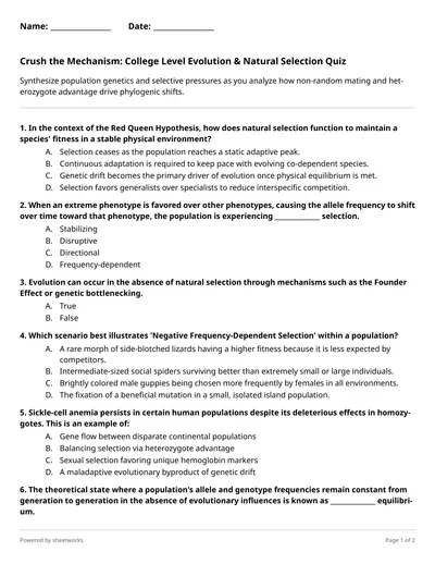 Evolution & Natural Selection Worksheets | Sheetworks